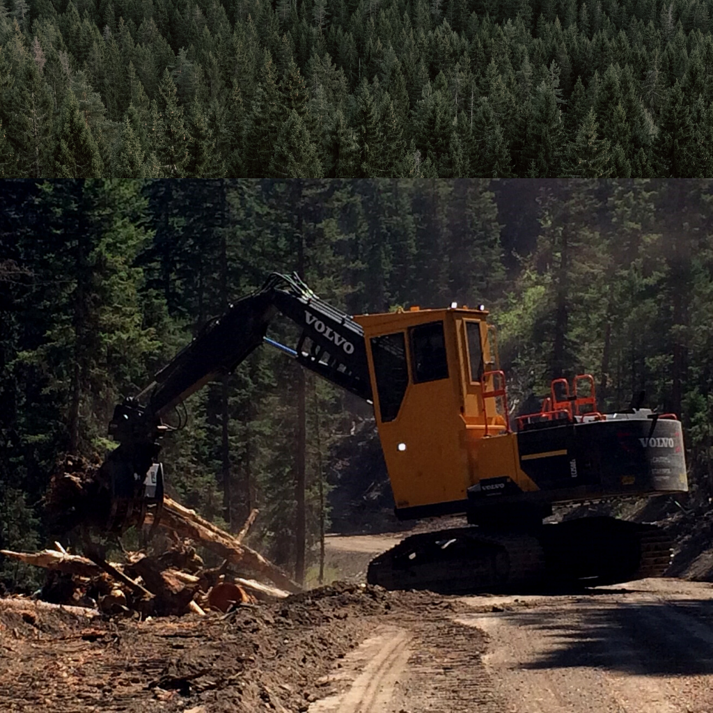 Volvo Tracked Forestry Carriers BC | Nors Equipment